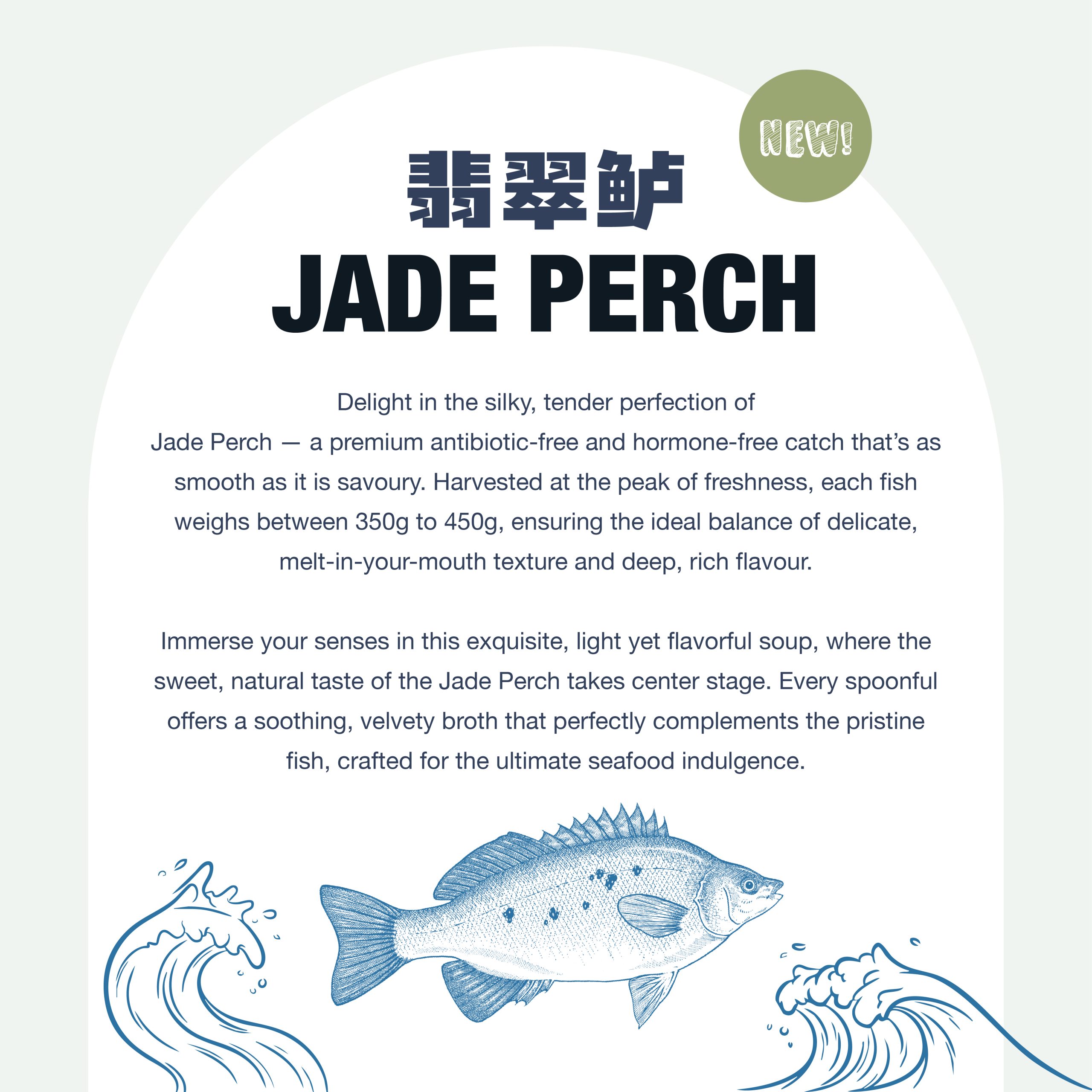 Singapore-Raised Jade Perch - Good Earth